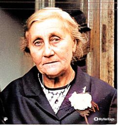 Dussel Web Site - MyHeritage